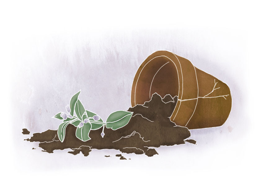 Om våld - Stödlinjen för män